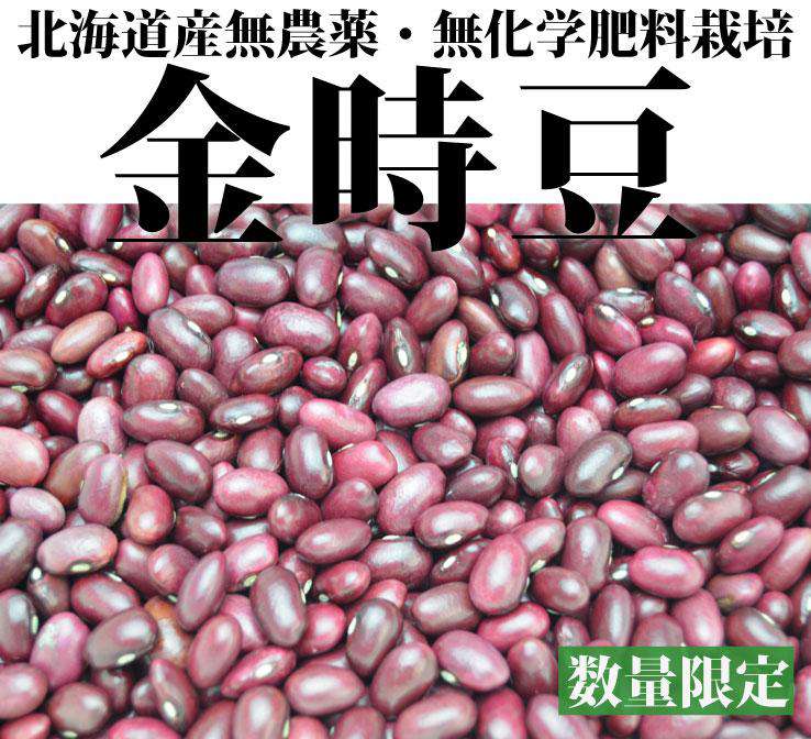 Hokkaido Organic Kintoki Bean 500g – kawashimaya the japanstore