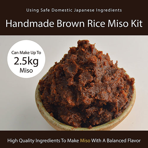Handmade Brown Rice Miso Kit - Portion For 2.5kg Miso (Organic Soybean ...